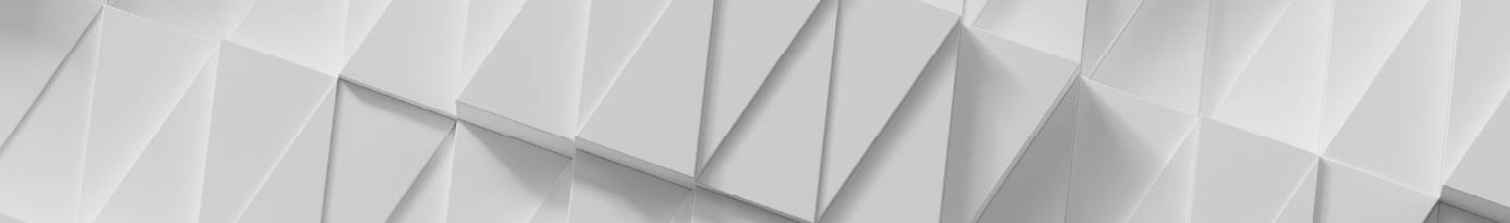 Our Team | Pie Funds Management | NZ Funds