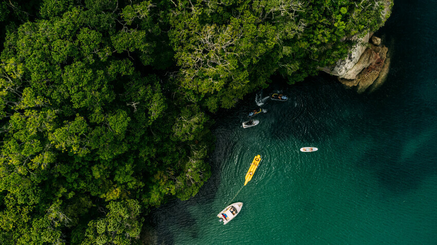 Investment Funds | Managed Funds I Pie Funds NZ